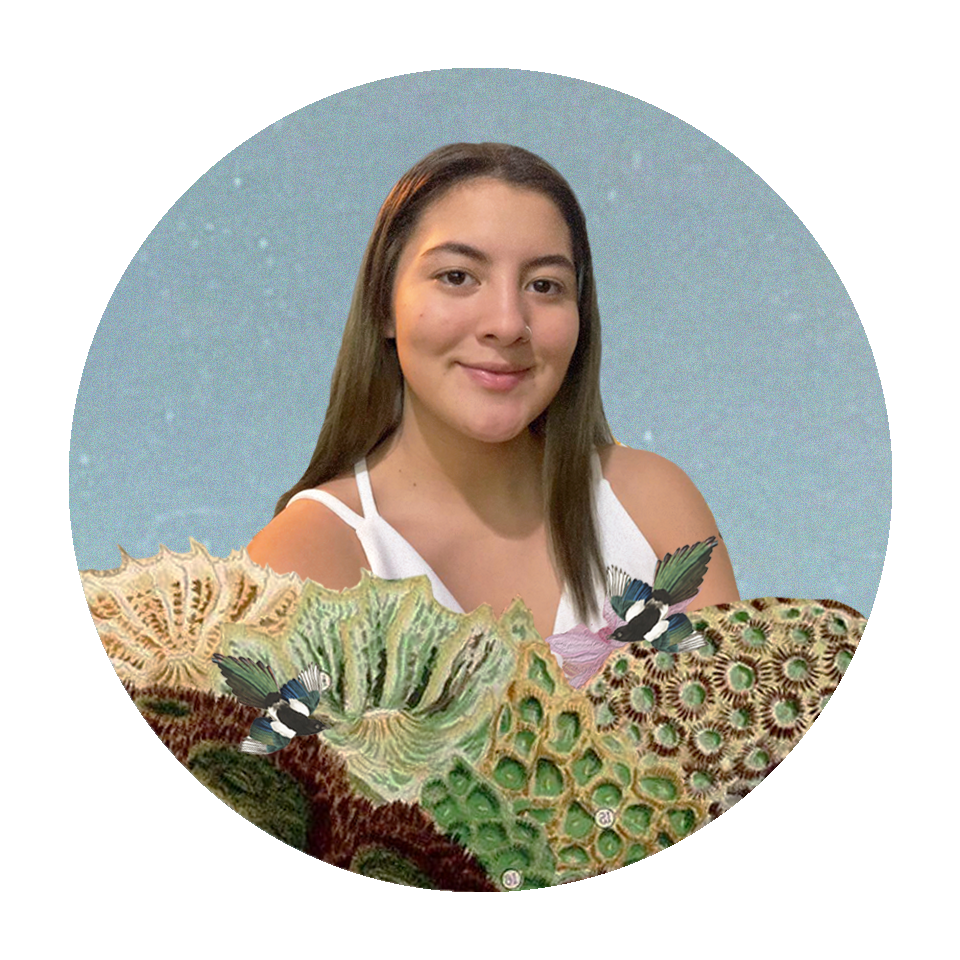 Nuestro Equipo – Santdev E-Commerce